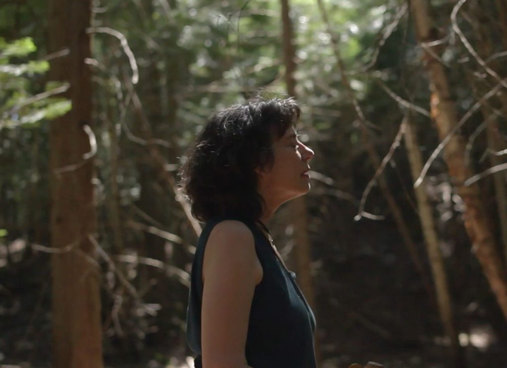 Art & Inspiration | Barbara Brown, Artist of the Forest