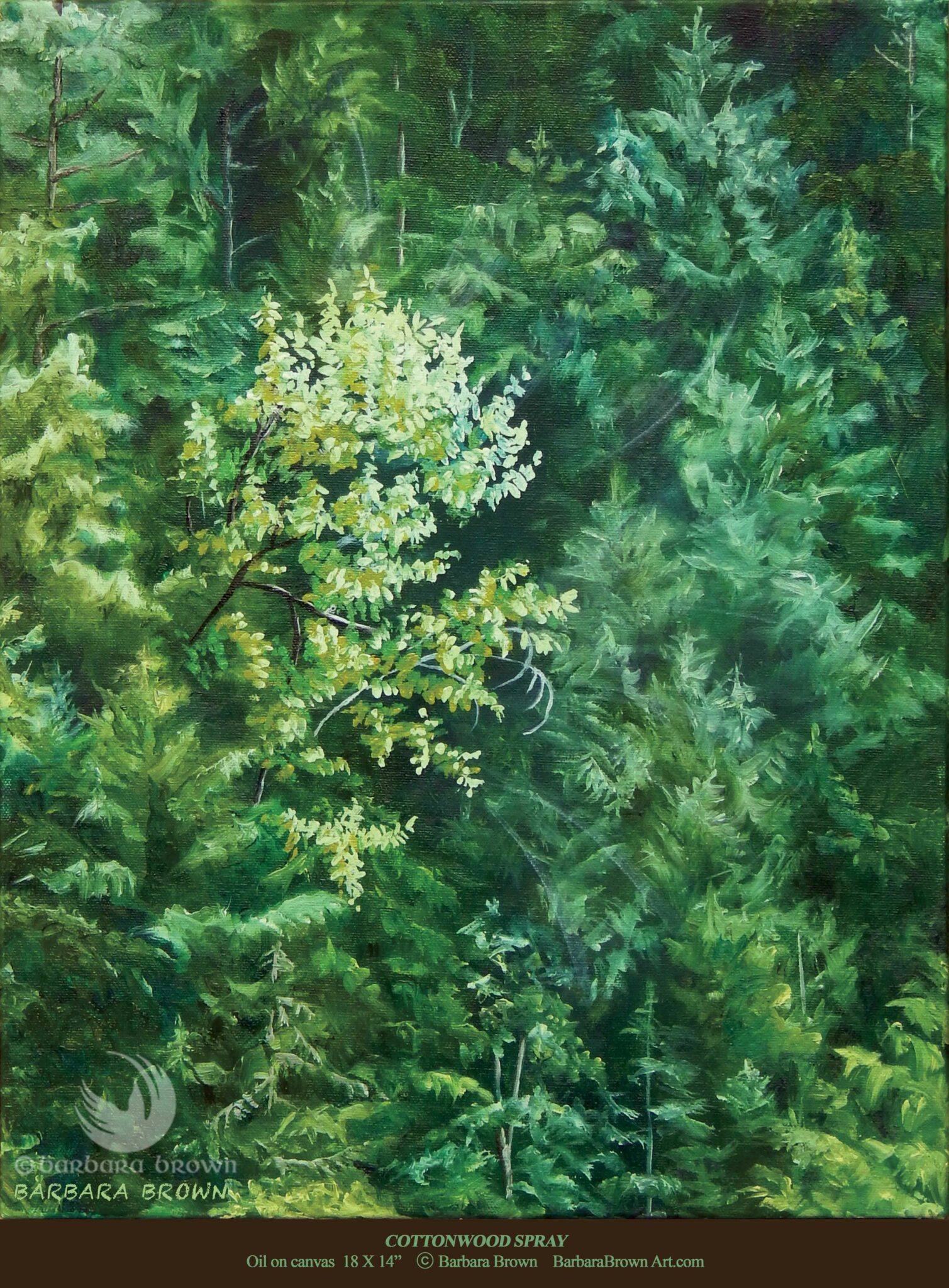 Cottonwood Spray | Barbara Brown, Artist of the Forest