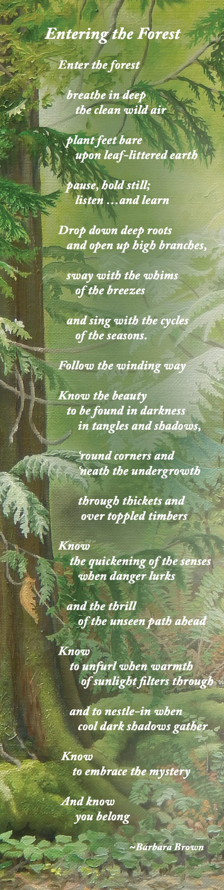 Art & Inspiration | Barbara Brown, Artist of the Forest