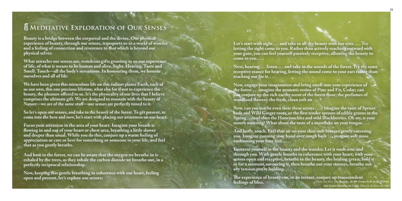 Art & Inspiration | Barbara Brown, Artist of the Forest